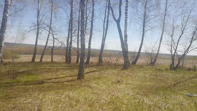 Природа просыпается от долгого зимнего сна