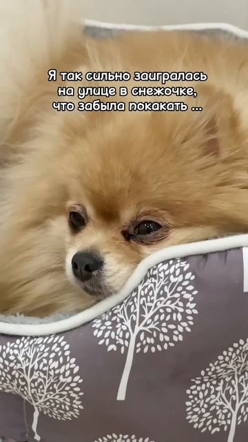 Заигралась!