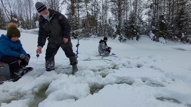 Ловим живцов, р.Симва, Учу сына ловить рыбу.Достойный ученик для своих 6-ти лет.