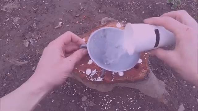 Как избавиться от поросли деревьев