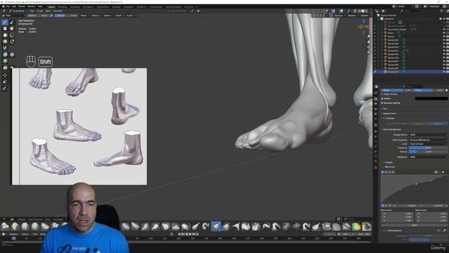 7 - Мышцы голени p03