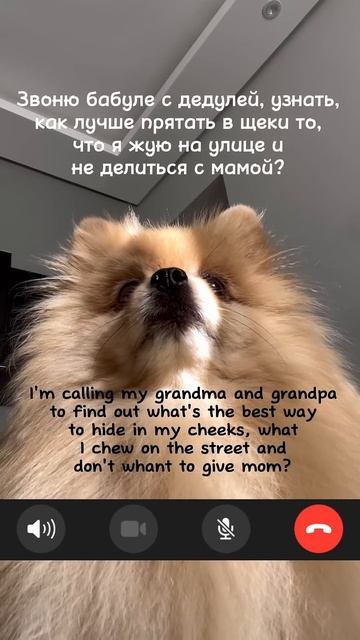 Звоню бабуле с дедулей #18