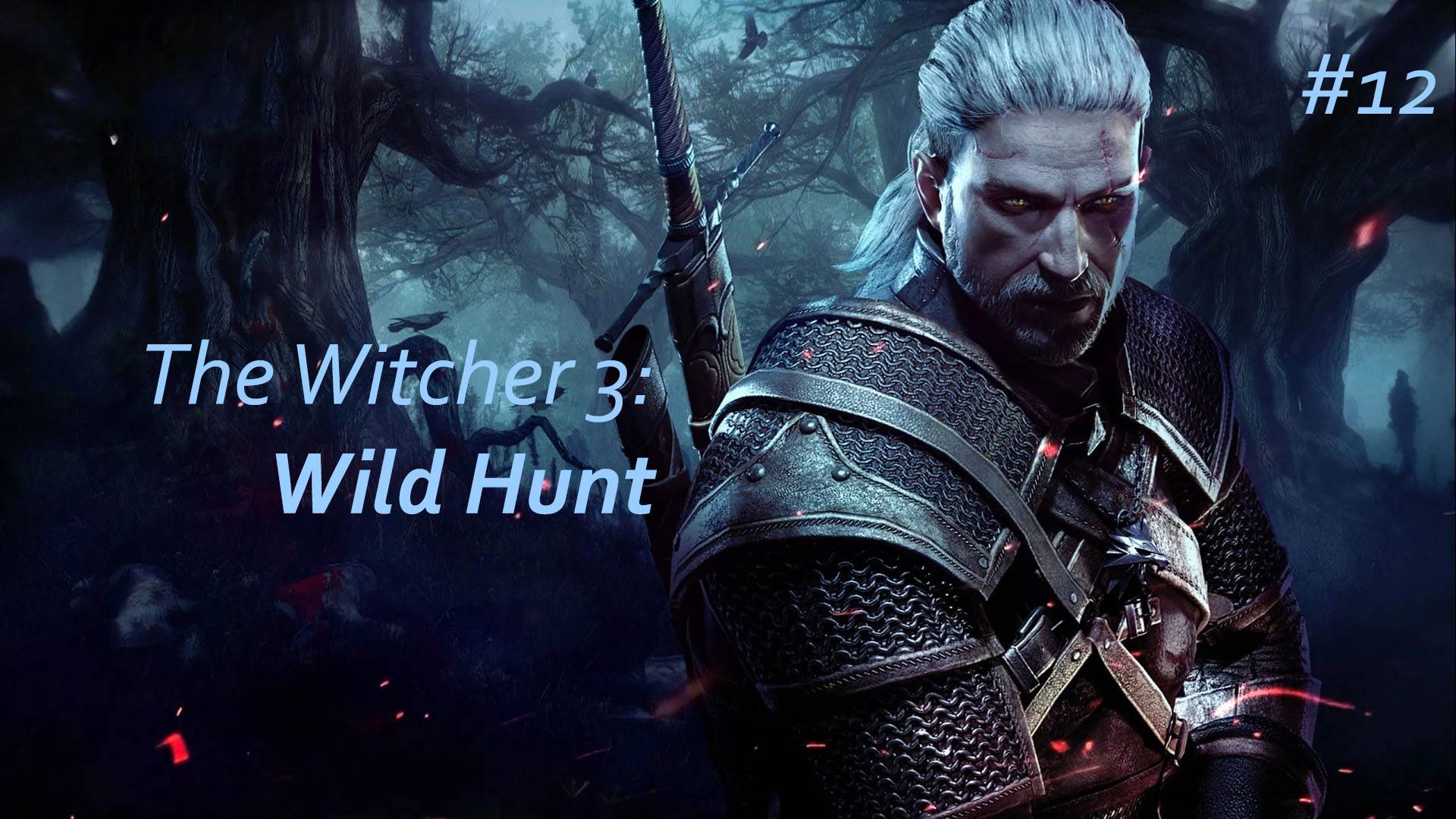 The Witcher 3: Wild Hunt/ На ощупь /part 12