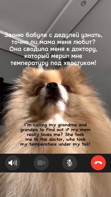 Звоню бабуле с дедулей #13