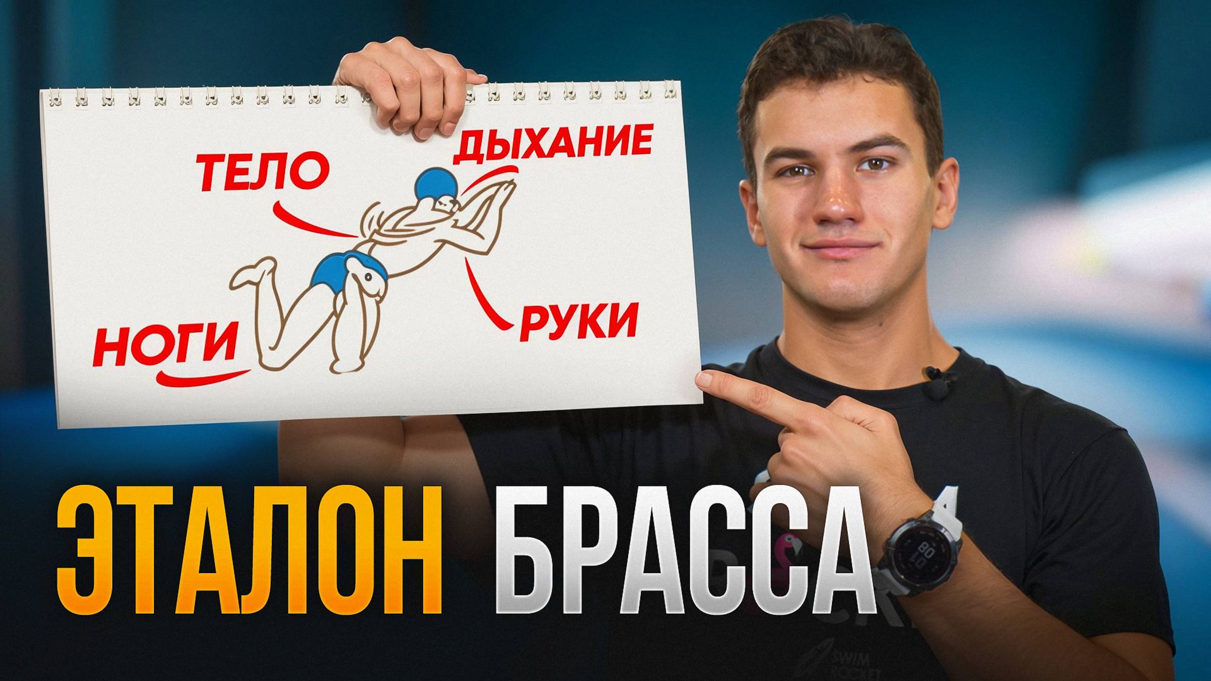 Эталонный БРАСС! Идеальная техника плавания | Разбор от мастера | Школа плавания Swim Rocket