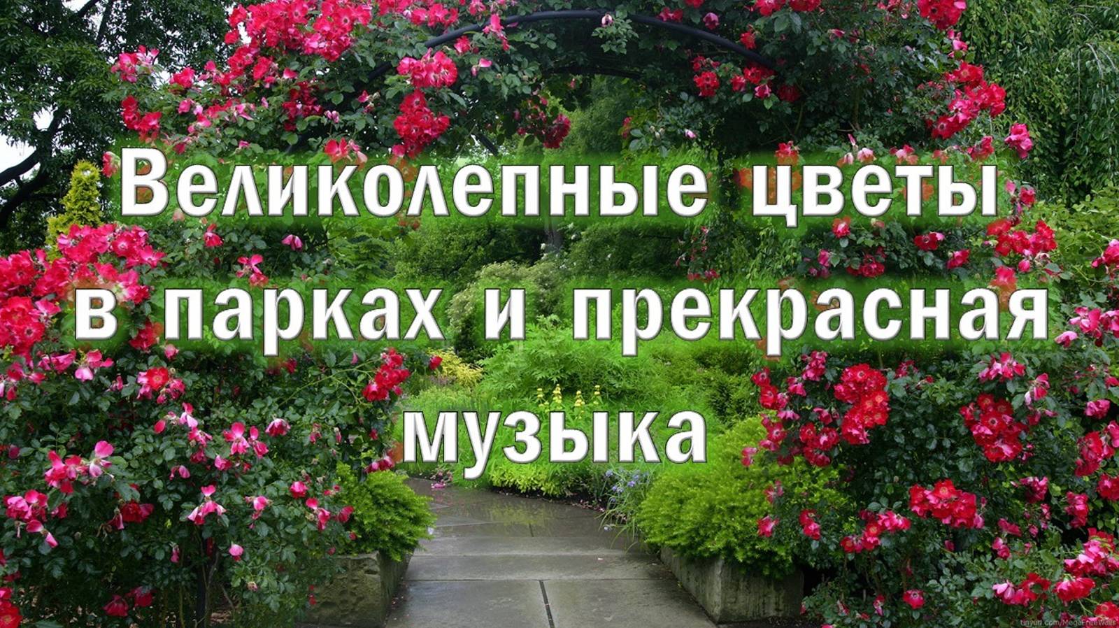🌷 4. Парад цветов.  Парад цветов. Изучаем названия цветов, наполняя себя позитивом под музыку.