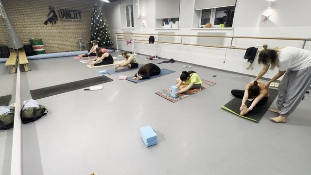 Йога с Дарьей 12.01.25