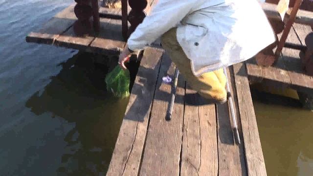 утренний улов