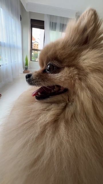 Бася научилась закатывать губу!