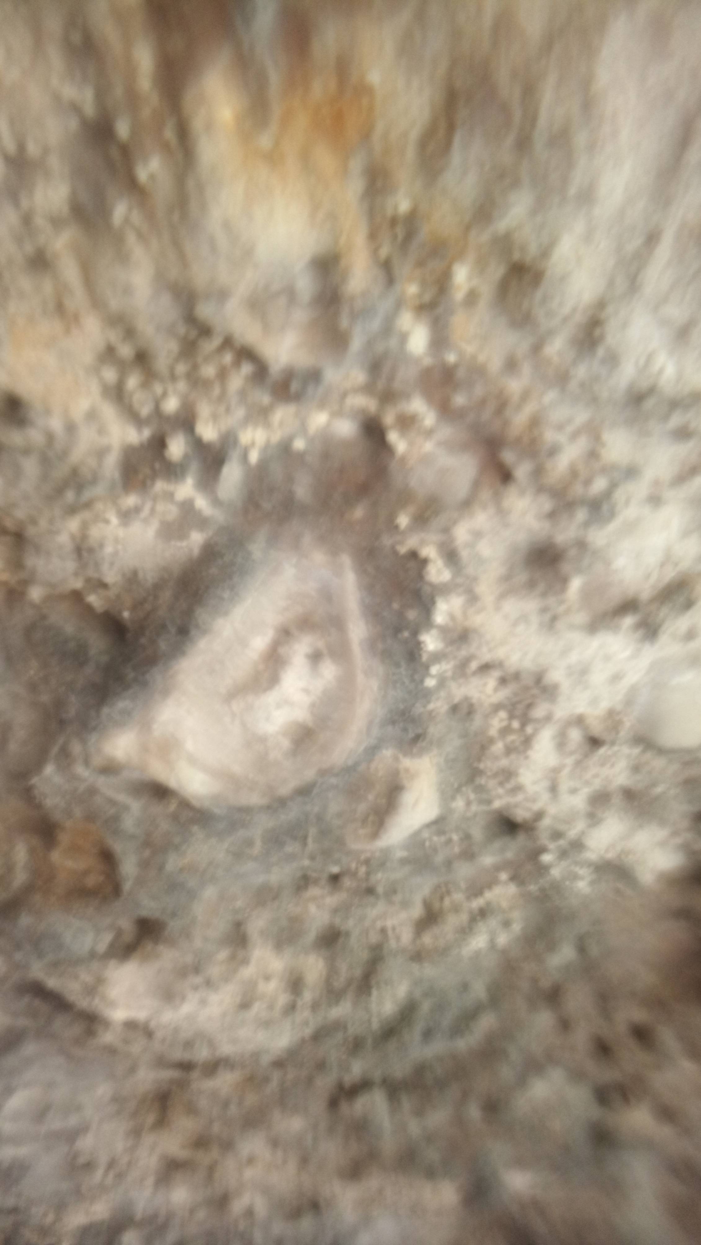 Образец древнего бетона из известняка