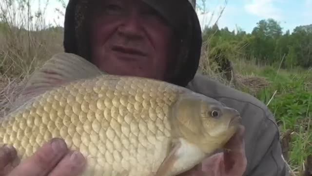 Рыбалка на карася и окуня в начале лета