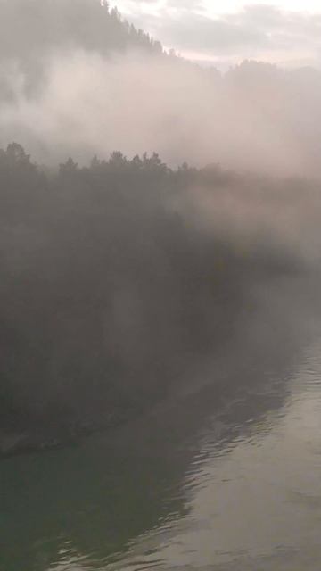 Туманы Алтая #travel #природа #mountains #горы