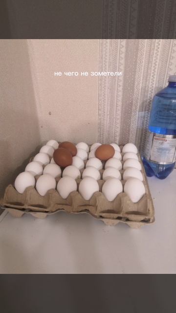 нечего не зометели?(если чо я осуждаю рас**м