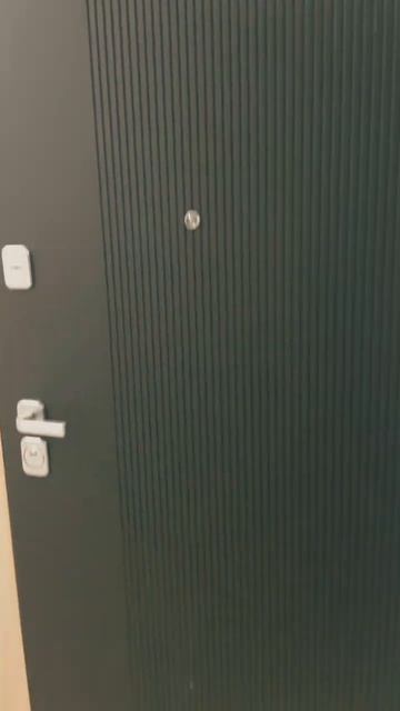 Обзор 2 к.кв. в ЖК "Чкалов 3" Новосибирск