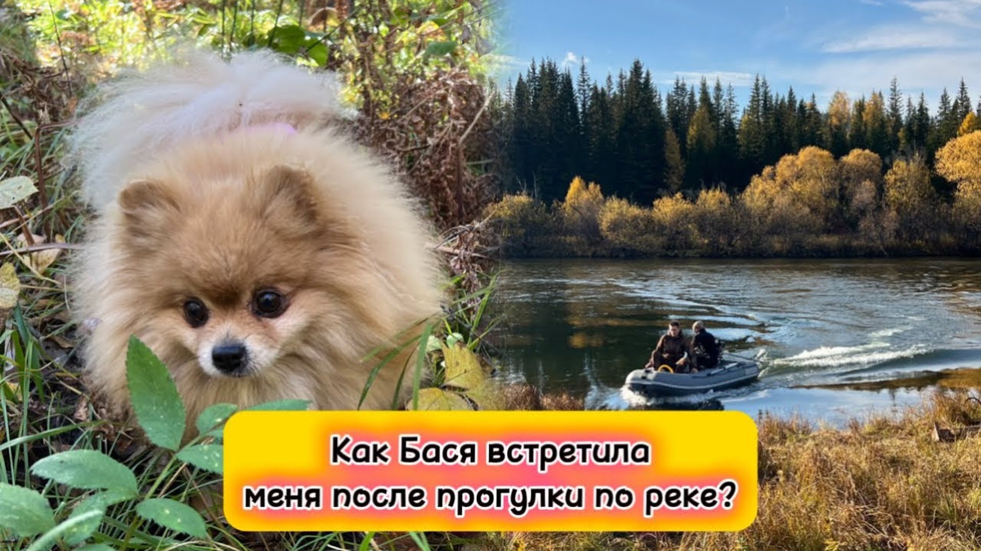 Как Бася встретила меня после прогулки по реке?