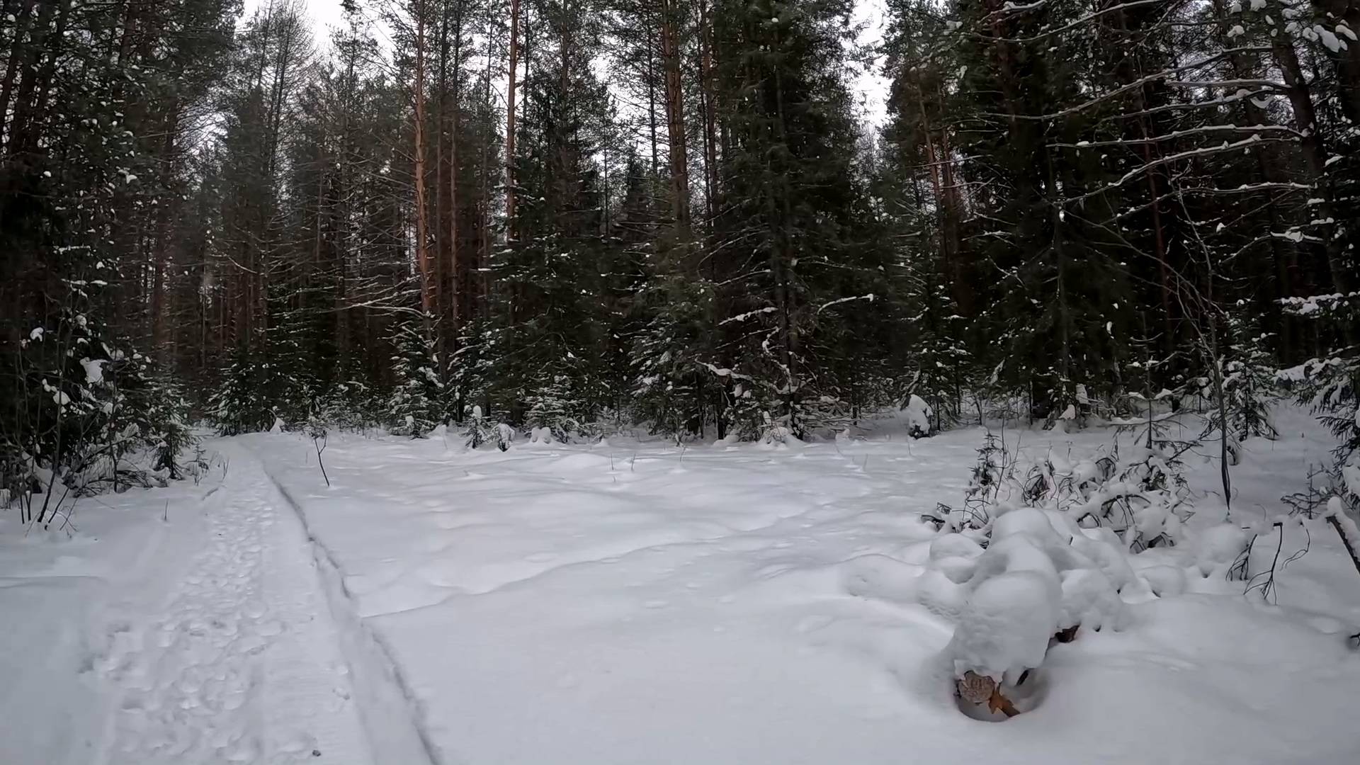 Зимняя рыбалка. Река Вагран.#4