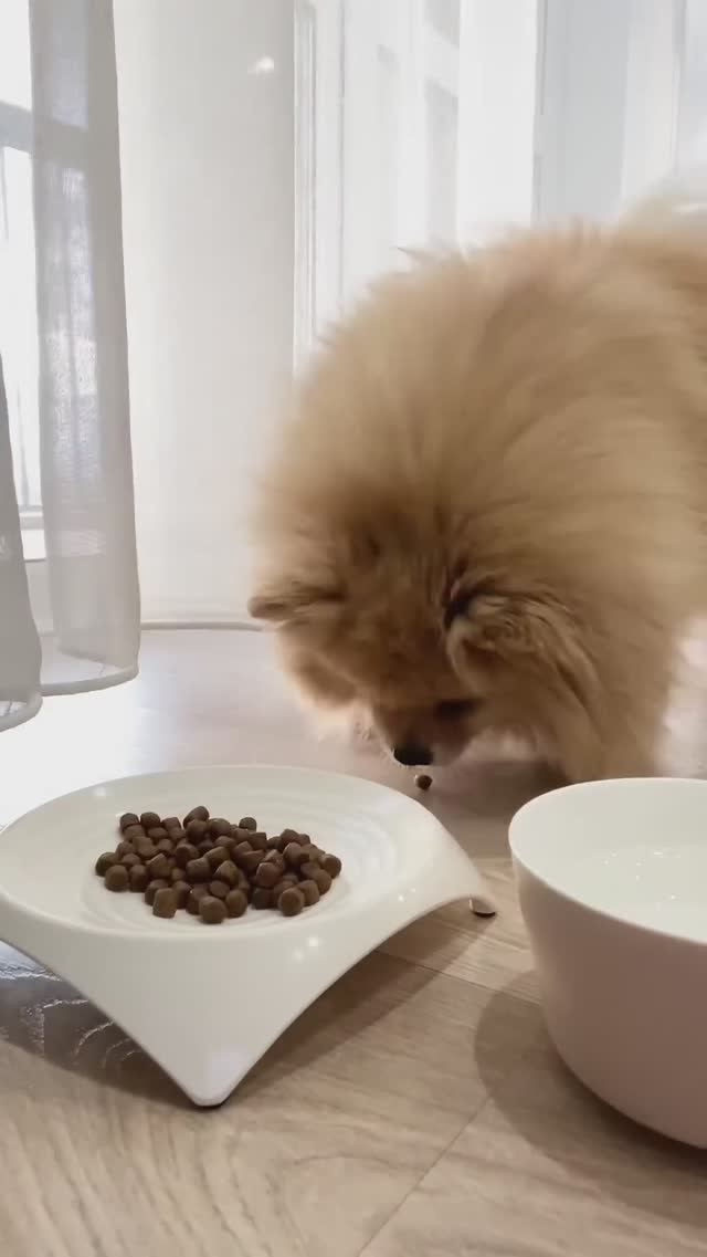 Мастер класс по поеданию ужина от Басеньки!