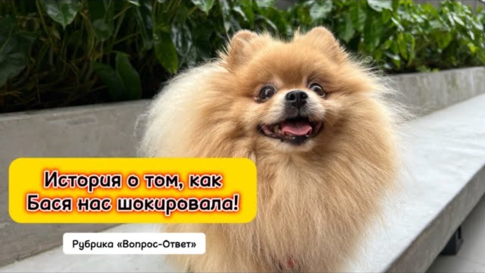 История о том, как Бася нас шокировала!