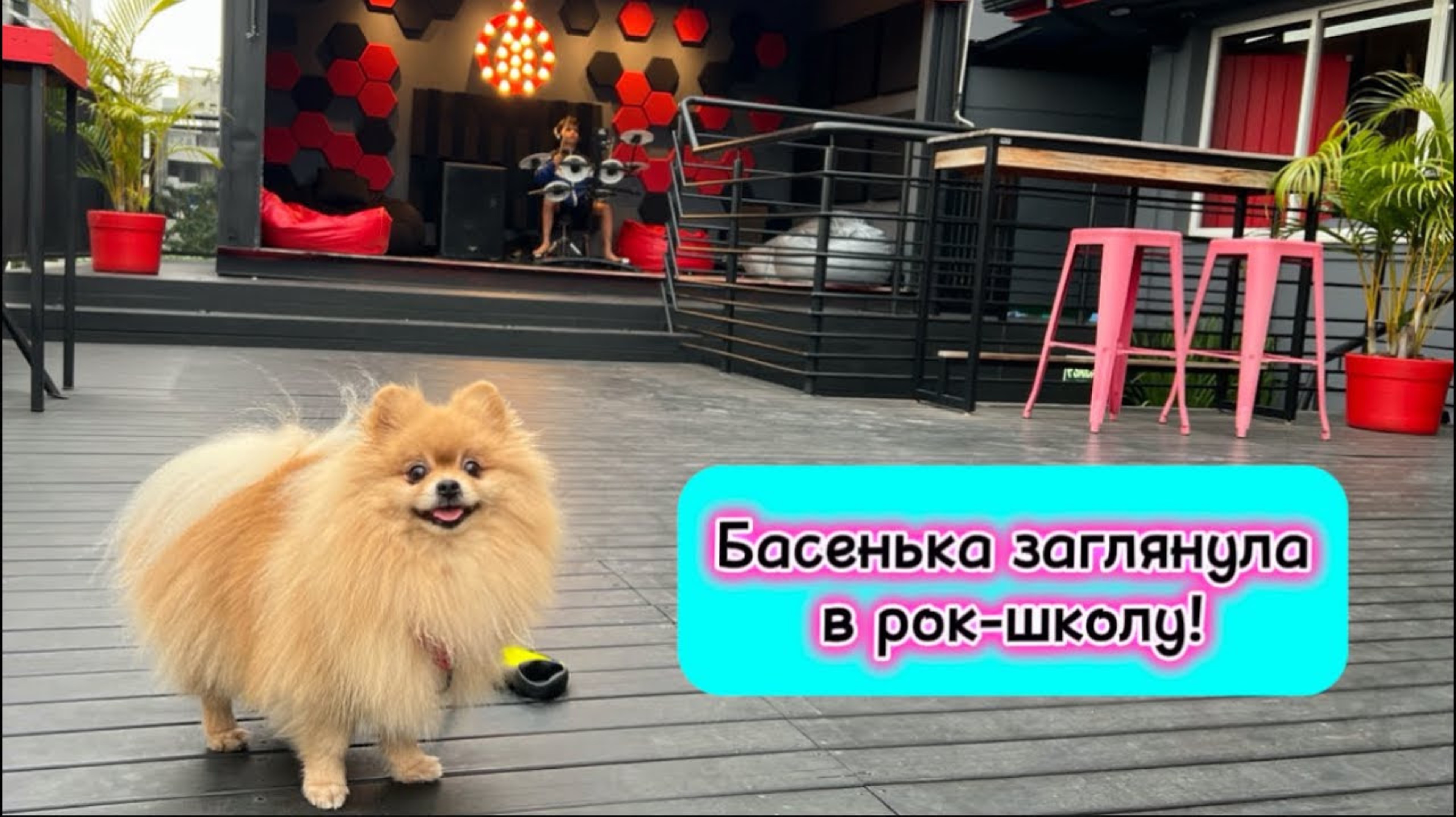 Басенька заглянула в рок-школу!