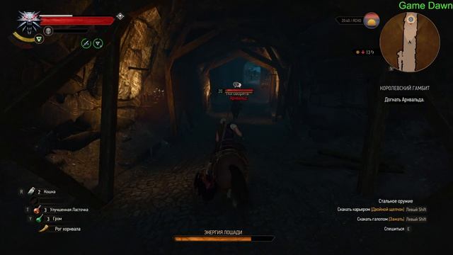 Ведьмак 3 Королевский Гамбит помощь Керис ан Крайт