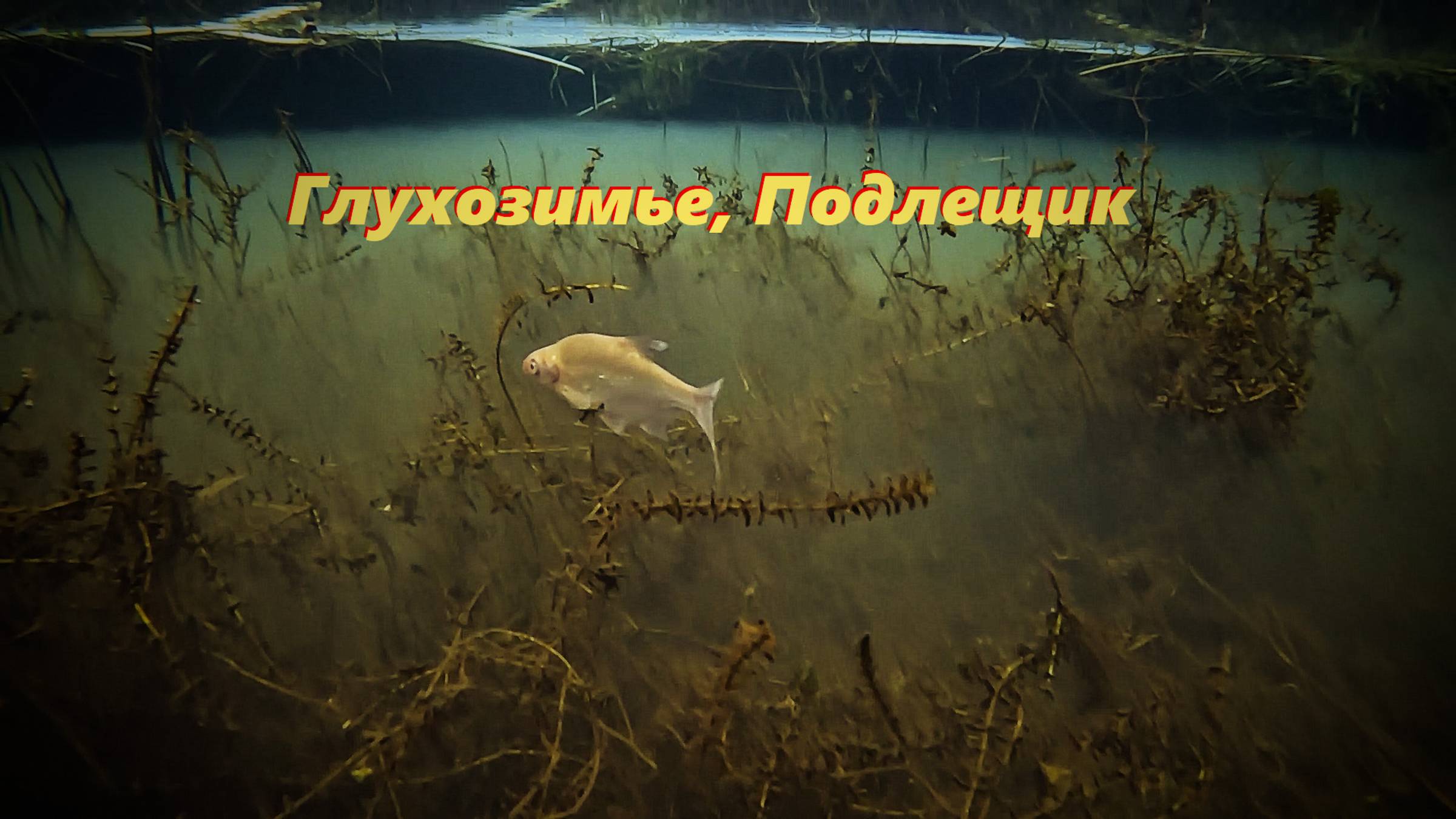 Рыбалка в глухозимье ловим подлещика