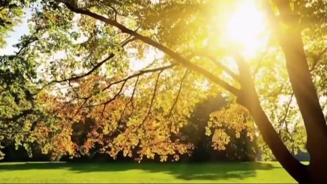 Достоин Ты хвалы Иисус