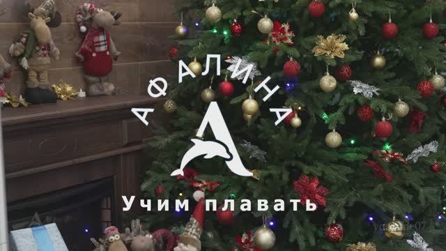 Академия плавания Афалина 2025