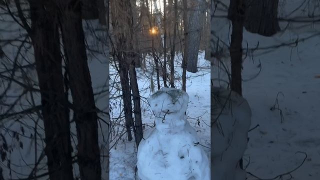 Прогулка по зимнему сосновому бору