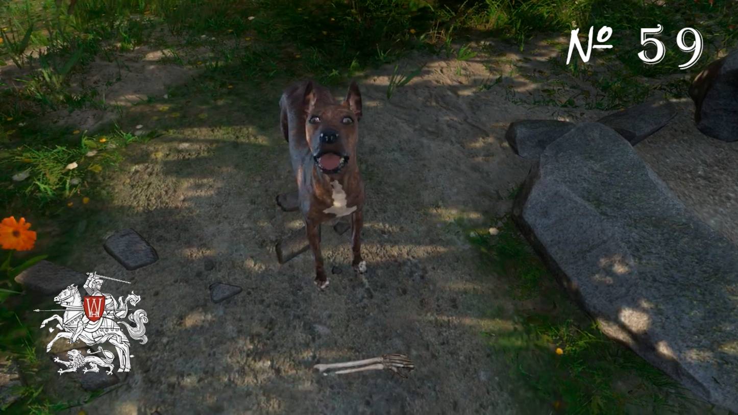 УЧИМСЯ ЛАЯТЬ ▬ Kingdom Come: Deliverance № 59