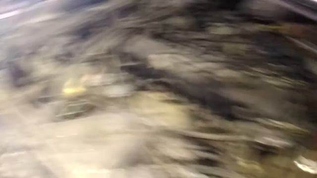 Заводим Nissan Laurel c231 1979 г.в.