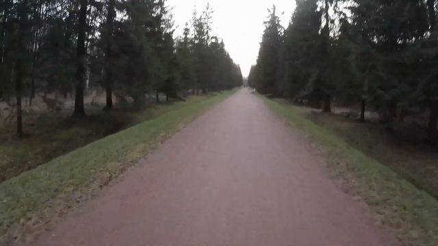 МОНОКОЛЕСО Ninebot Z10. Первые впечатления после Inmotion V8.