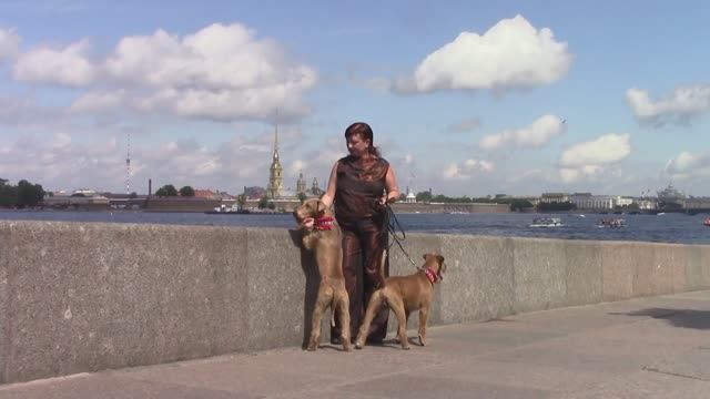 Ирландские терьеры : Тема прошлого лета .