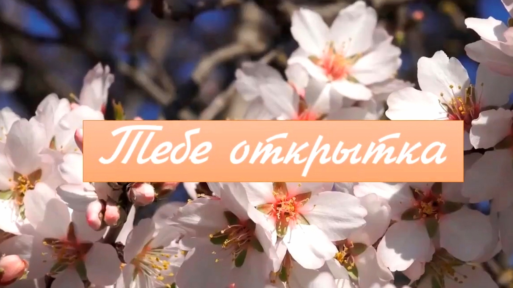 💕😘💐 С Днём рождения, доченька. Открытка-поздравление.