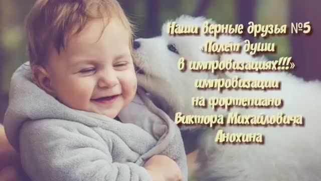 МУЗЫКА «Наши верные друзья №5» ИМПРОВИЗАЦИЯ фортепиано композитор Виктор Анохин #instrumentalmusic