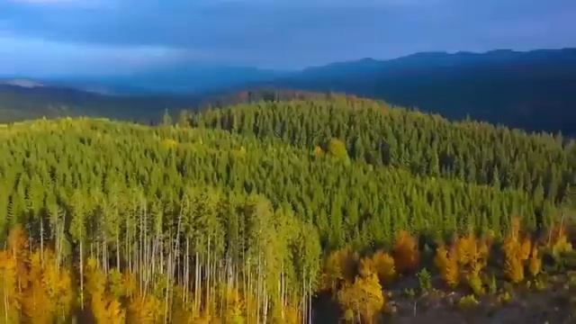 "Песня вольная!"_ исполняет автор слов и музыки Инна Марухленко.