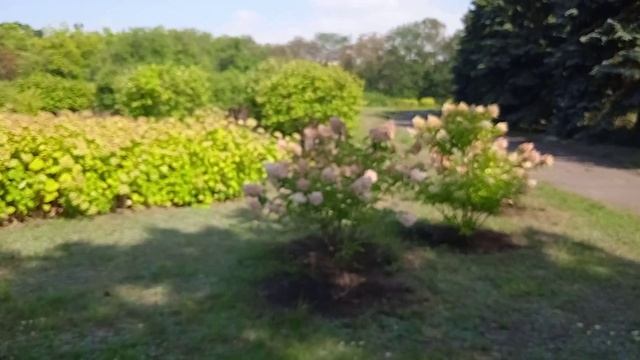 Подборка старых фото и видео #1 (Влог в Даманске)  (azriga)