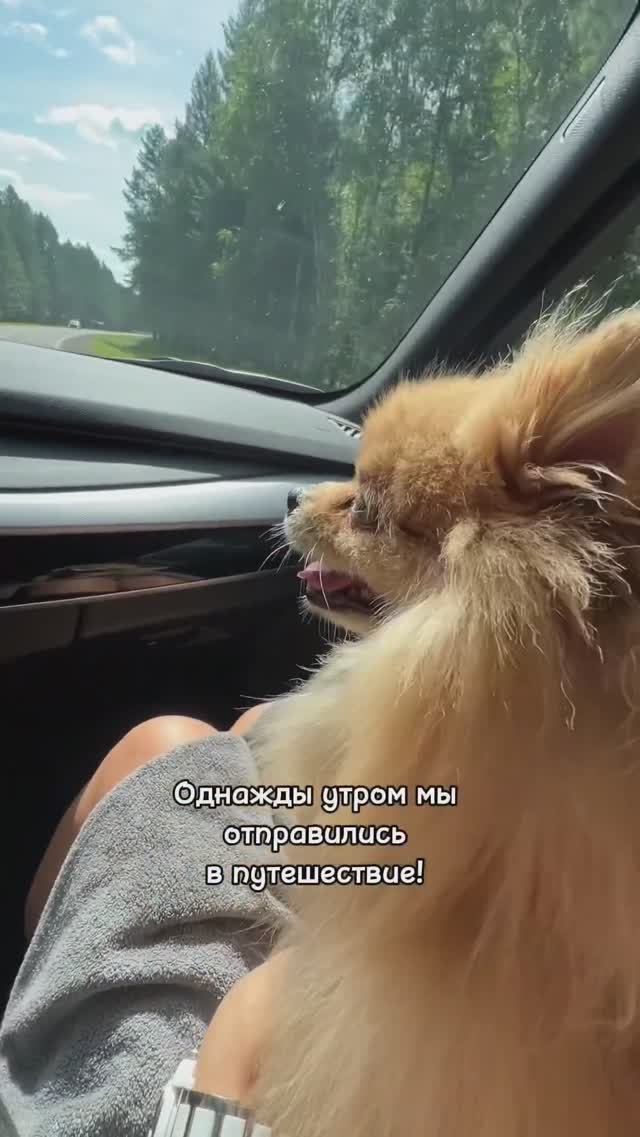 Чем Бася занималась на природе?