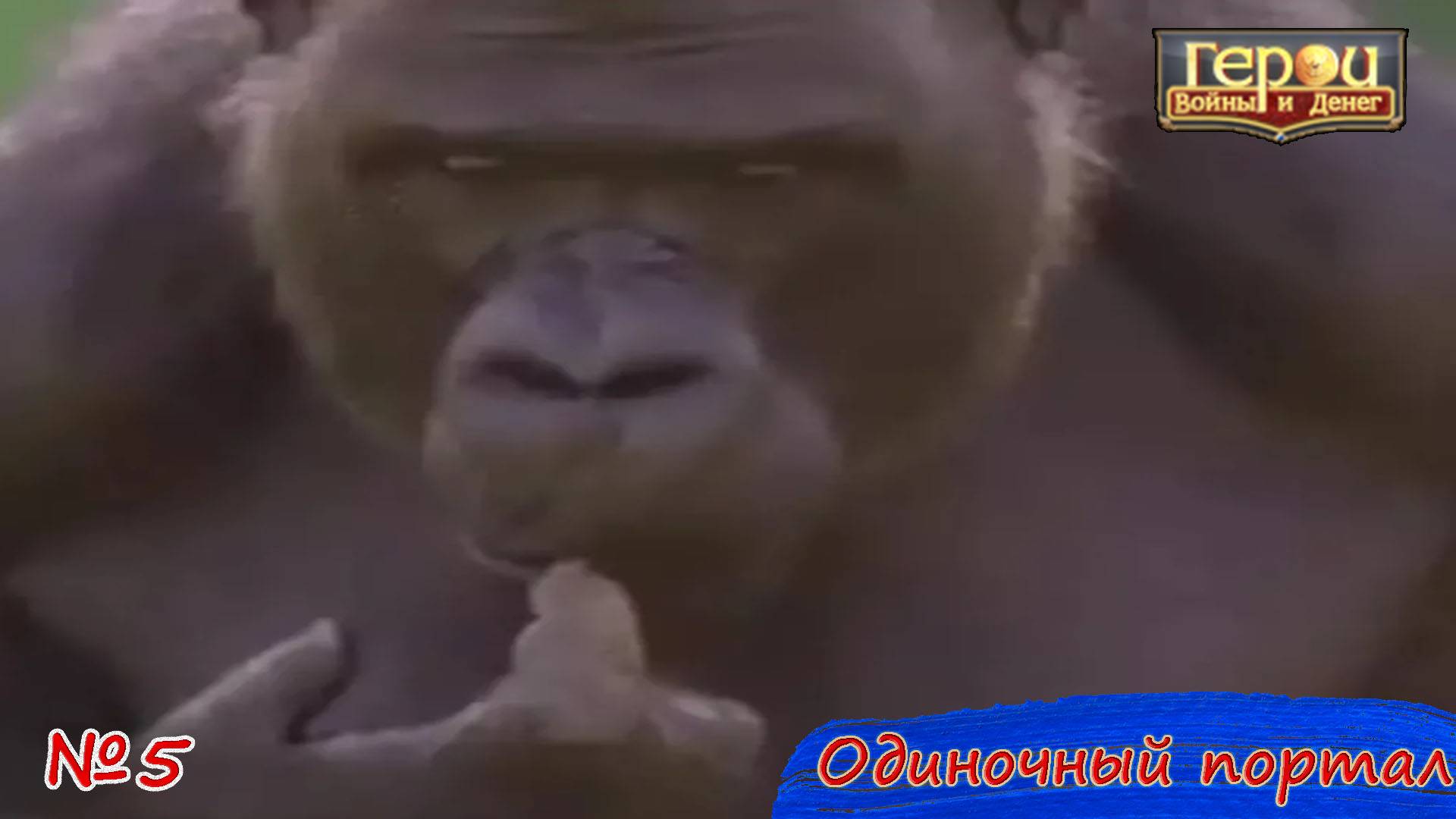 Теперь нужно думать | Одиночный портал #5 | Герои Войны и Денег