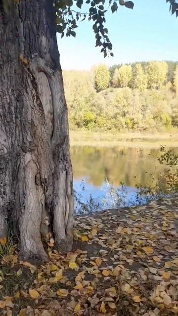 мкр. Весенний Первомайский район. Последние теплые осенние деньки.