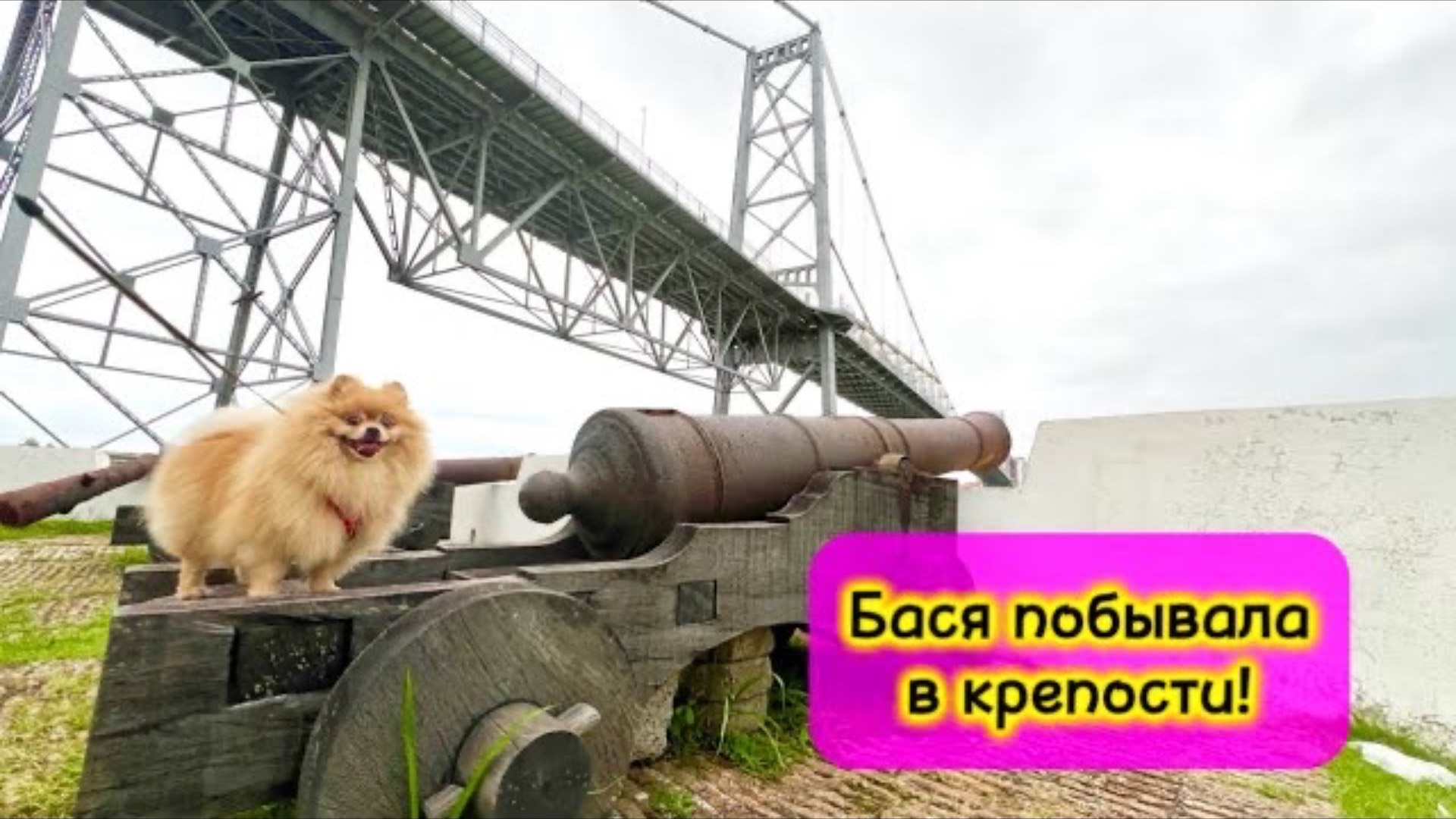 Бася побывала в крепости!