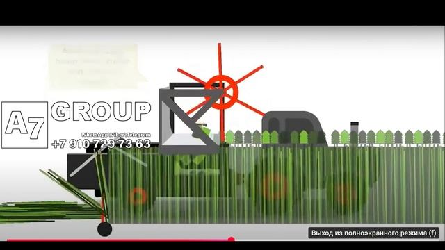 Сбор цветков и стеблей технической конопли за один проход #комбайн  #косилка  #конопля