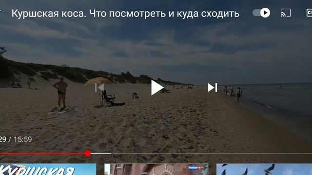 Реакция на Куршскую Косу. Калининград.