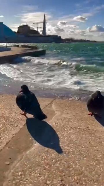 Город-герой Севастополь ❤️🇷🇺⚓