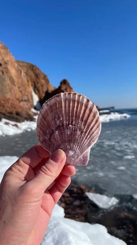 о.Шкота зимой