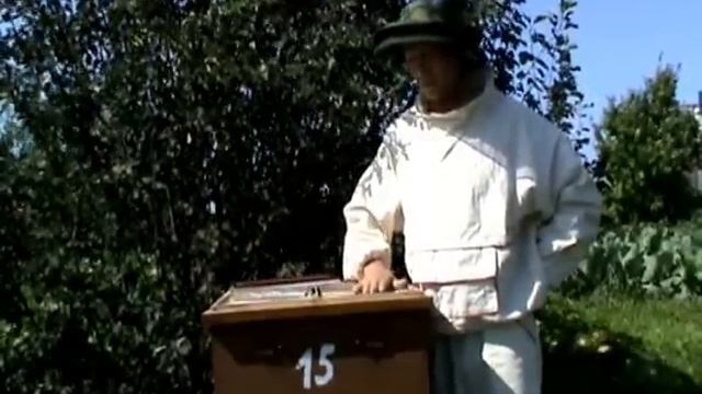 Пчеловодство (уникальный метод - 3-5 фляг меда с улья)