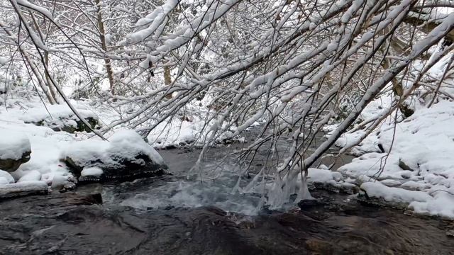 День Татьяны (песня под гитару)