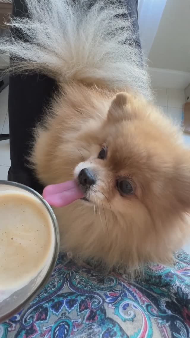 Бася полюбила кофе!