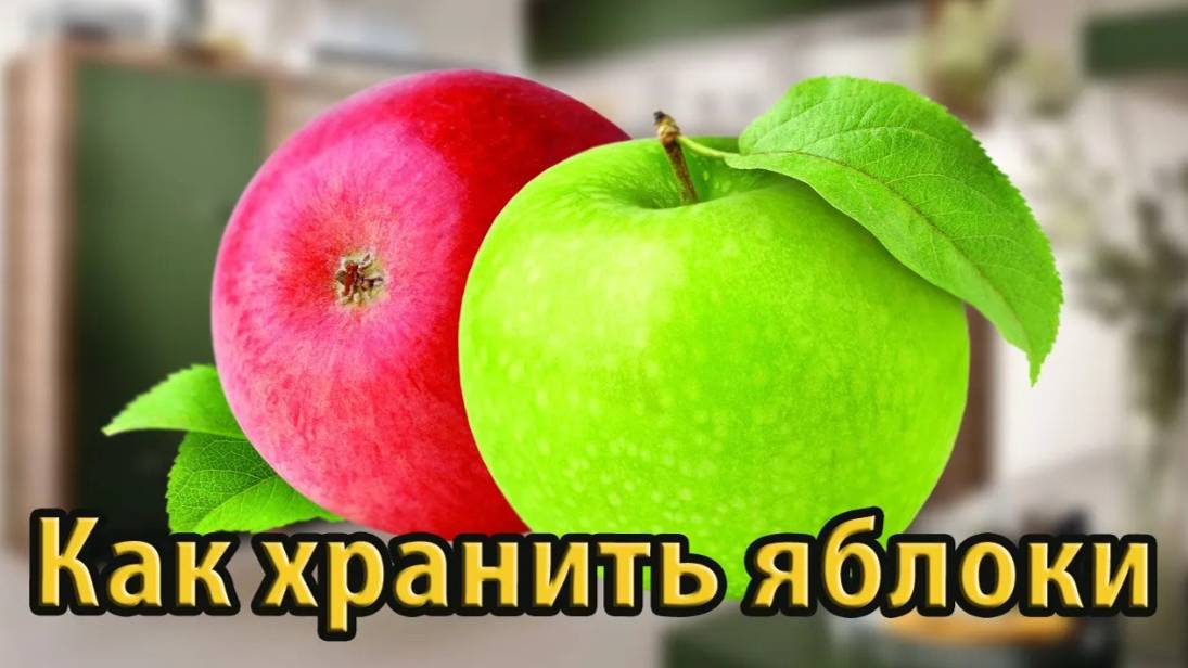 Как хранить яблоки