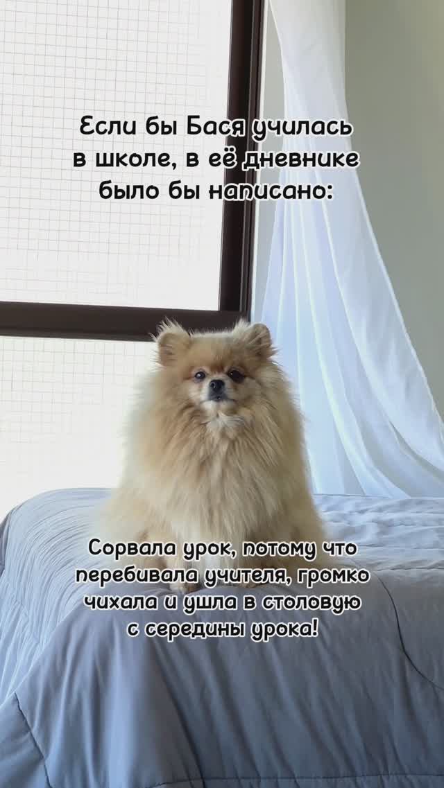 А что бы вы написали Басе?