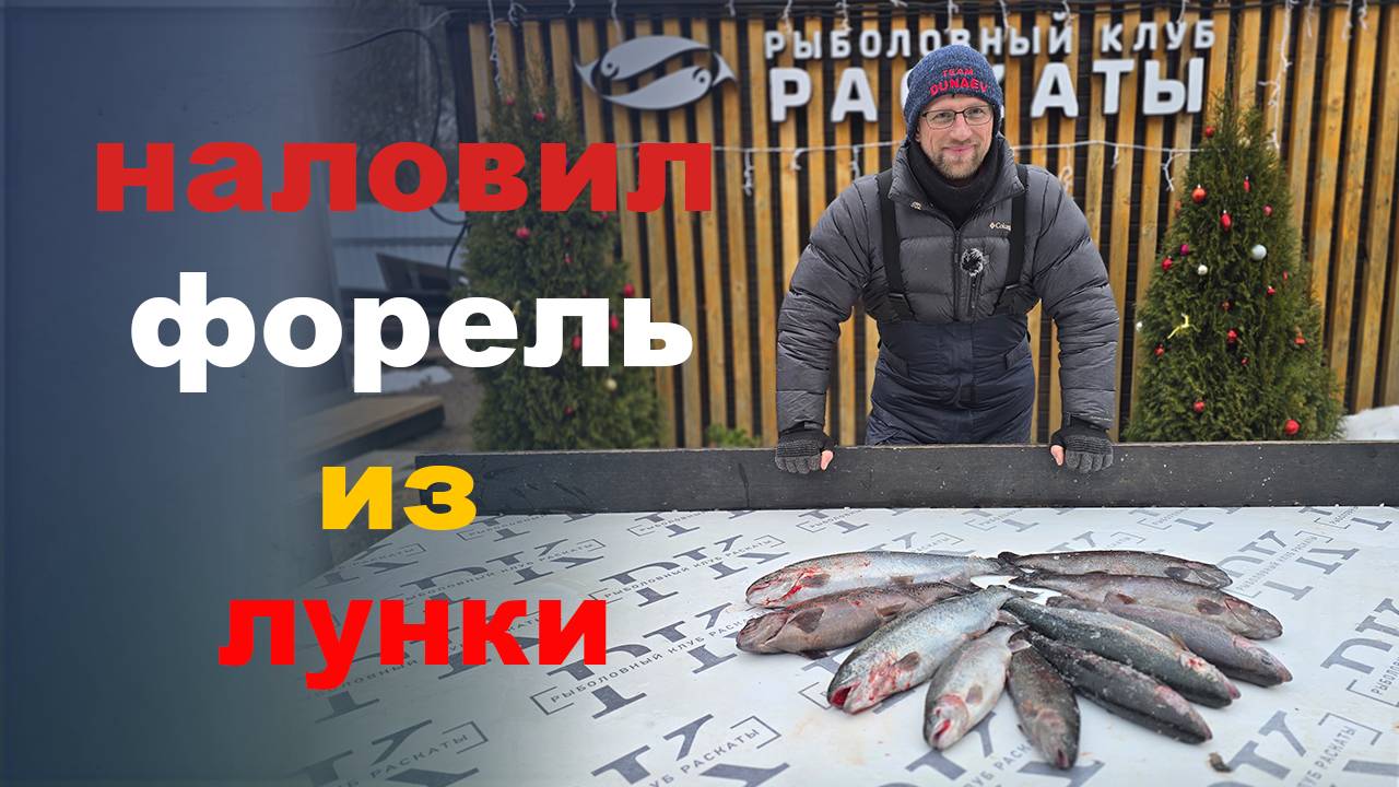 наловил форель из лунки